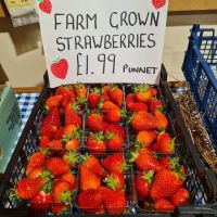 Welcome To Halberton Court Farm Shop - Home - Halberton Court Farm Shop